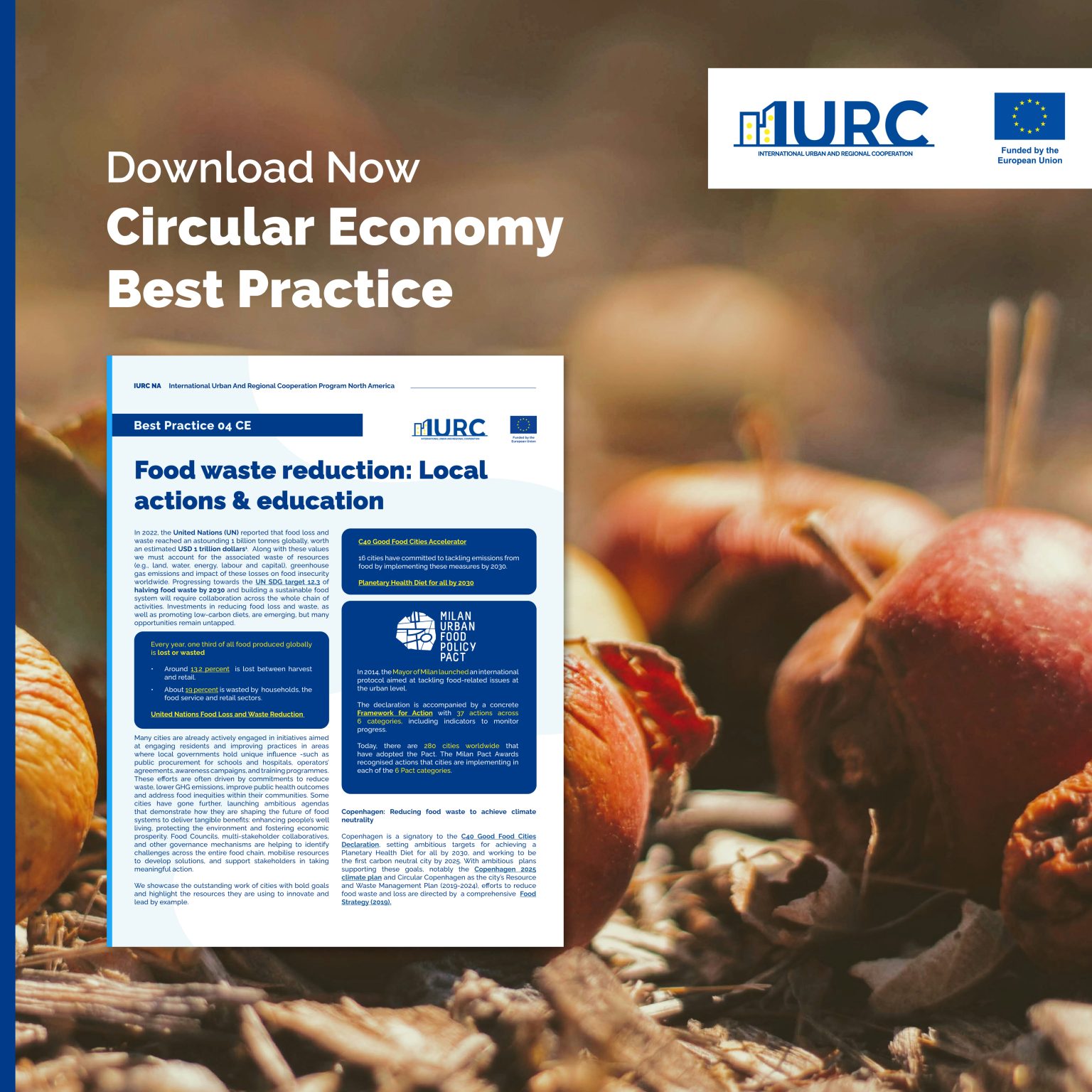 Food Waste Reduction: Local Actions & Education – International Urban ...